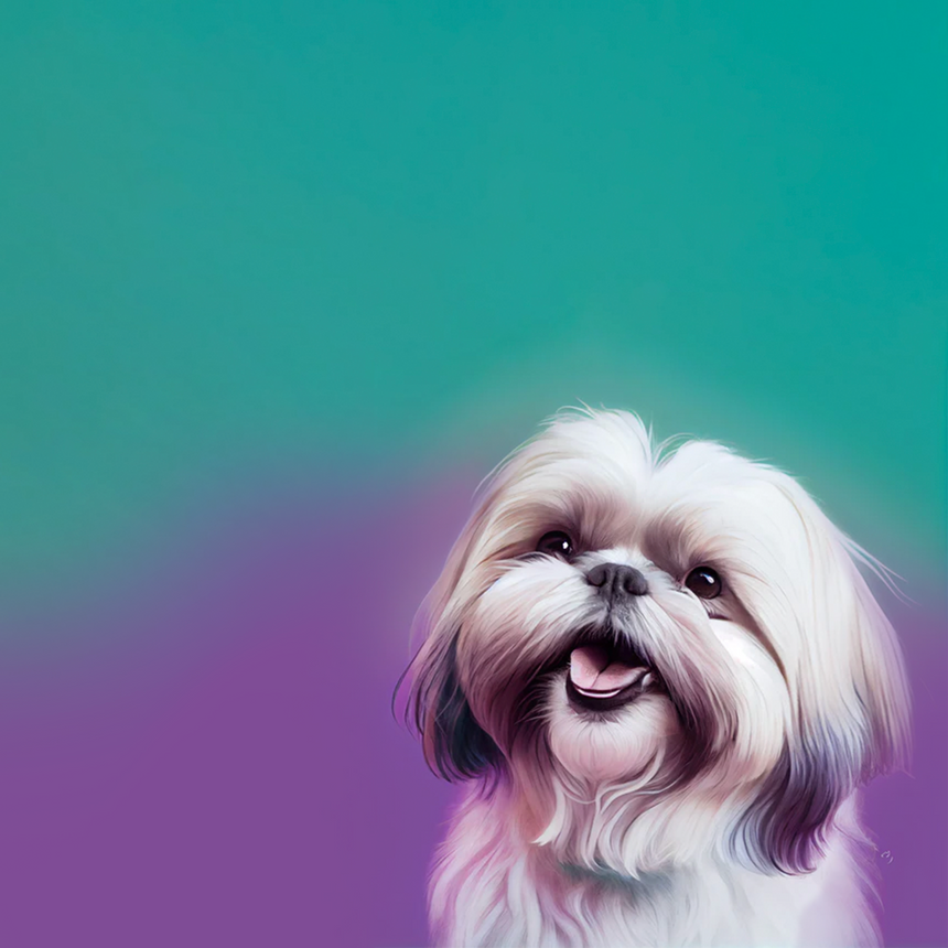 Dirty Dog Beauty Club | Clean Products For Dirty Dogs